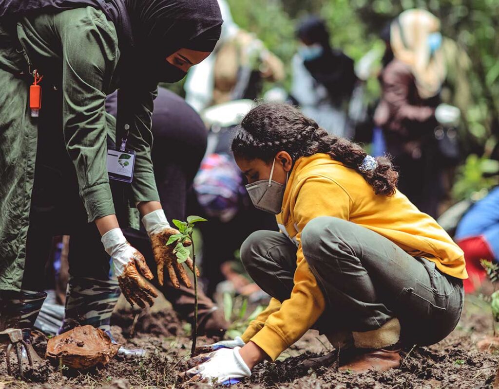 We Need to Plant More Trees for a Healthier Planet - ETASHA Society